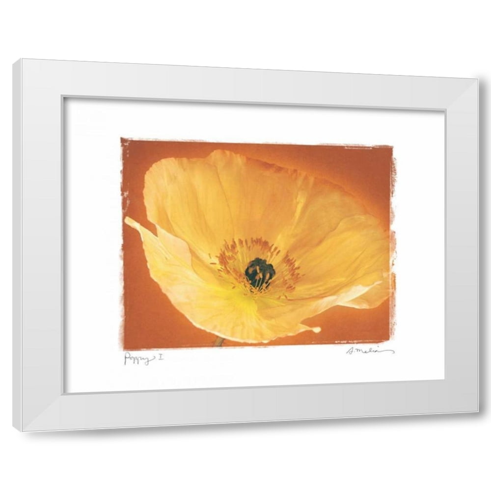 Amy Melious 32x26 White Modern Wood Framed Wall Art Titled - Poppy I ...