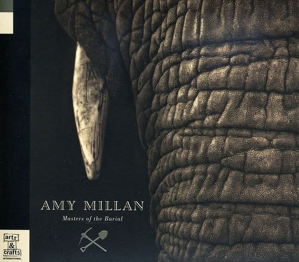 Amy Millan - Masters of the Burial - Music & Performance - CD - Walmart.com