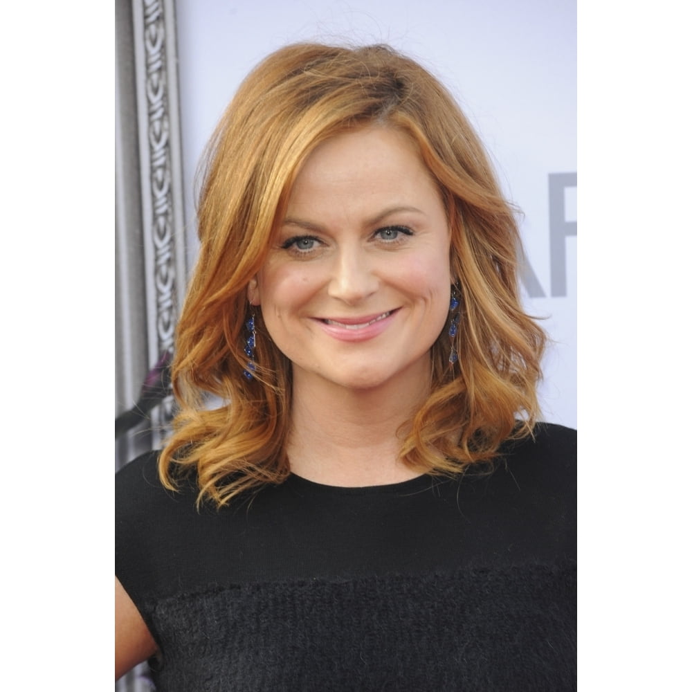 Amy Poehler At Arrivals For American Film Institute_s 43Rd Life ...
