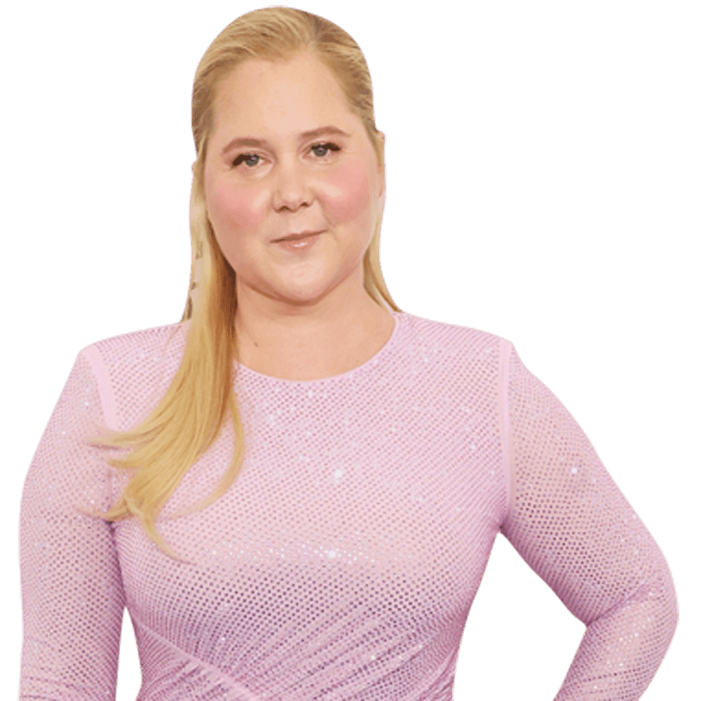 Amy Schumer (Pink Dress) Half Body Buddy Cutout - Walmart.com