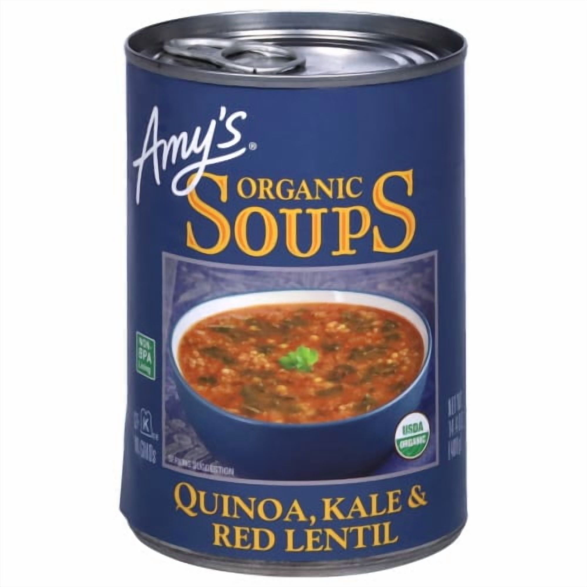 Amy's Organic Soups Quinoa Kale and Red Lentil Soup 14.4 oz - Walmart.com