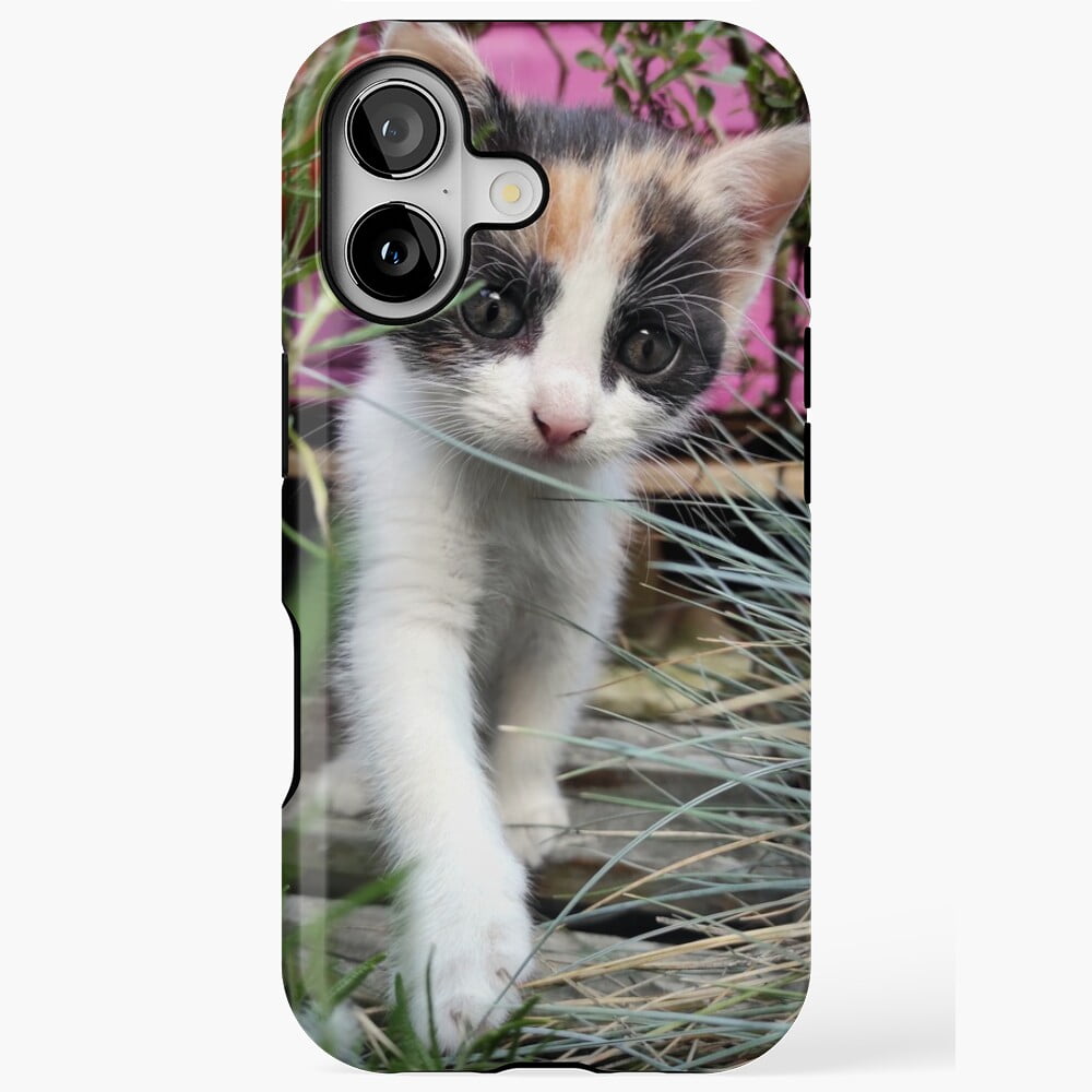 Amy the Cat Discovers the Garden Scene iPhone Case 17 11 12 13 14 15 16 ...