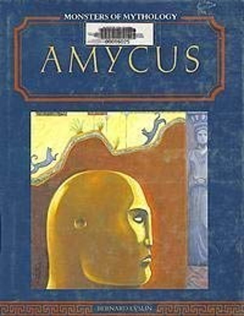 Pre-Owned Amycus (Library Binding) 9781555462406 - Walmart.com