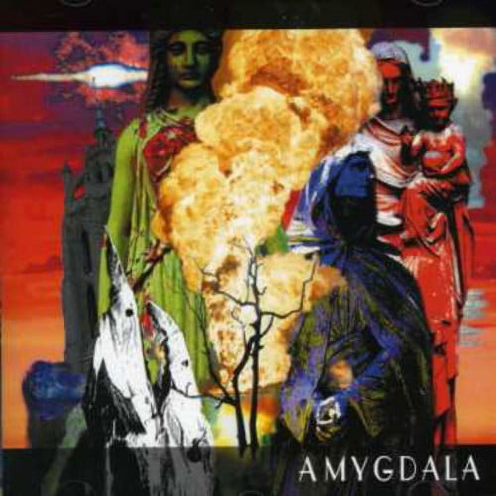 Amygdala - Amygdala - Music & Performance - CD - Walmart.com