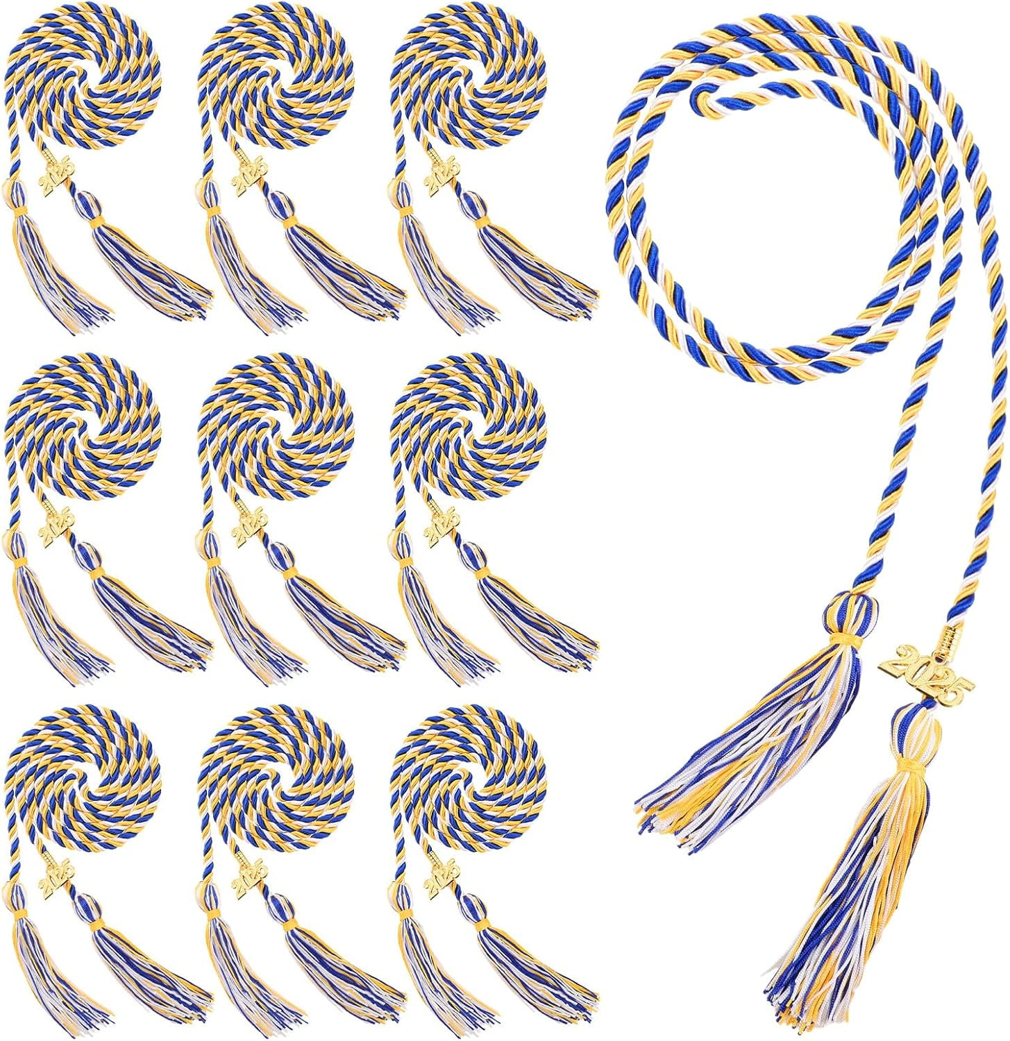 Amylove 10 Pcs Graduation Cord with 2025 Charm, Graduation Blue Gold ...