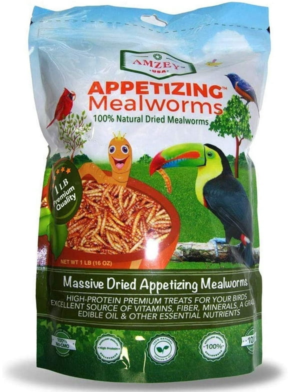 Bird Feeders and Bird Houses in Patio & Outdoor Decor - Walmart.com