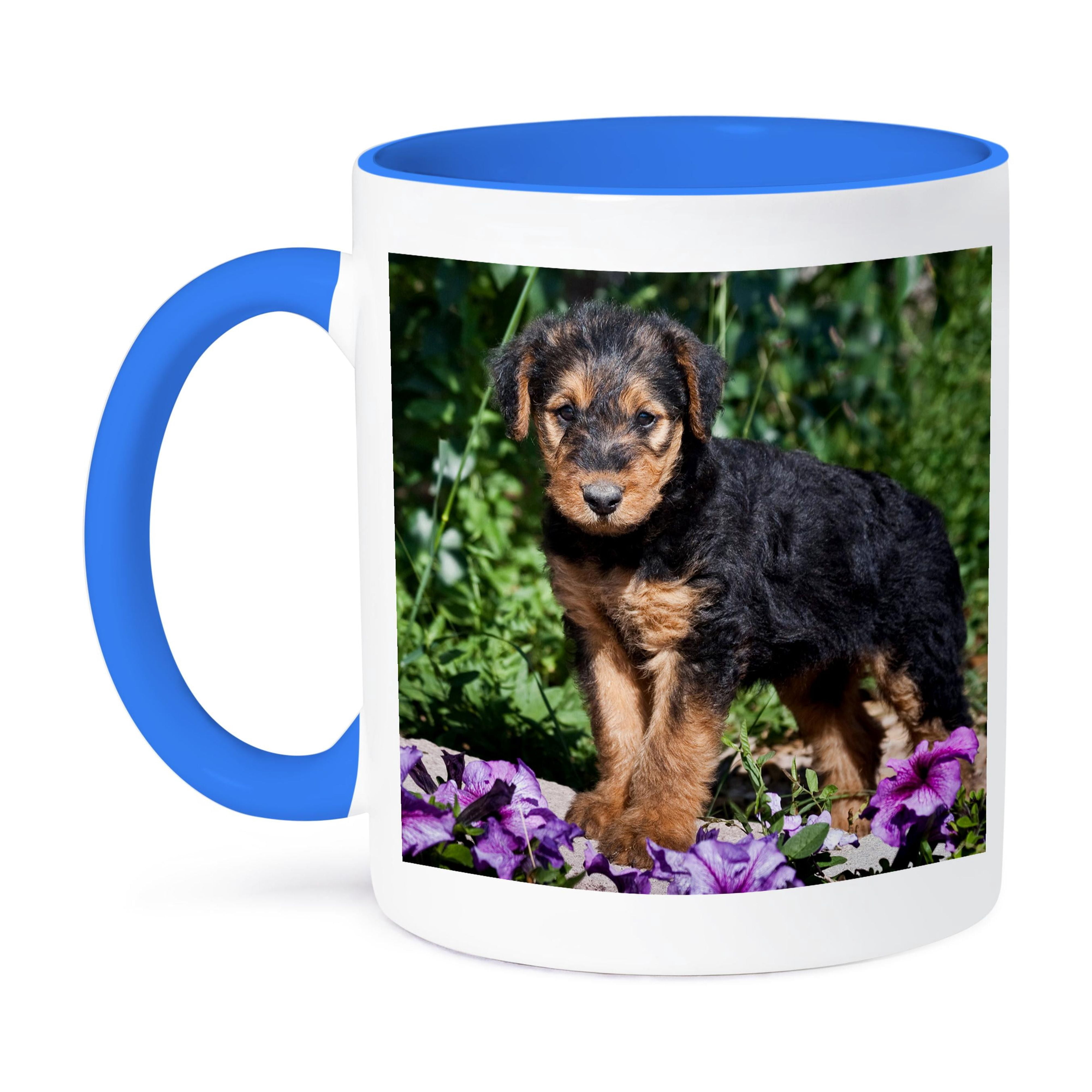 An Airedale Puppy Dog On A Small Rock - Us32 Zmu0018 - Zandria Muench ...