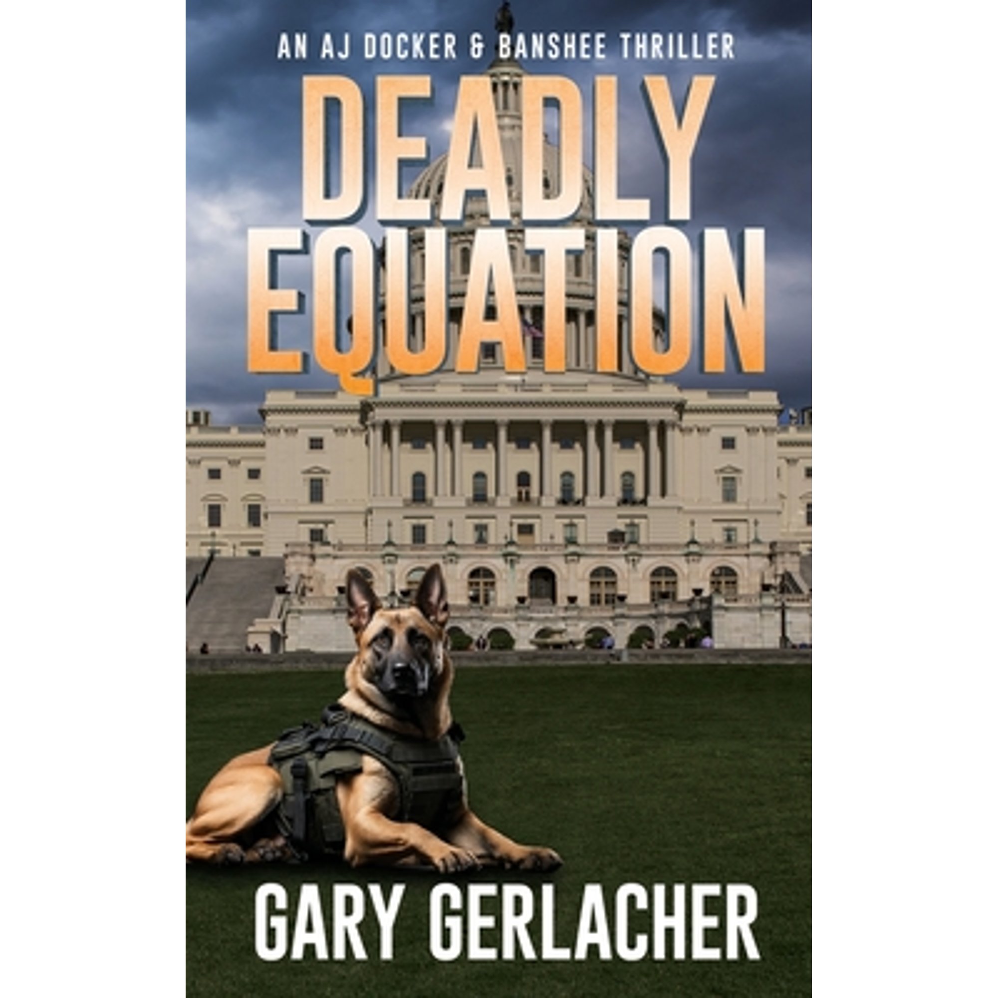 Pre-Owned Deadly Equation: An AJ Docker and Banshee Thriller (Hardcover ...