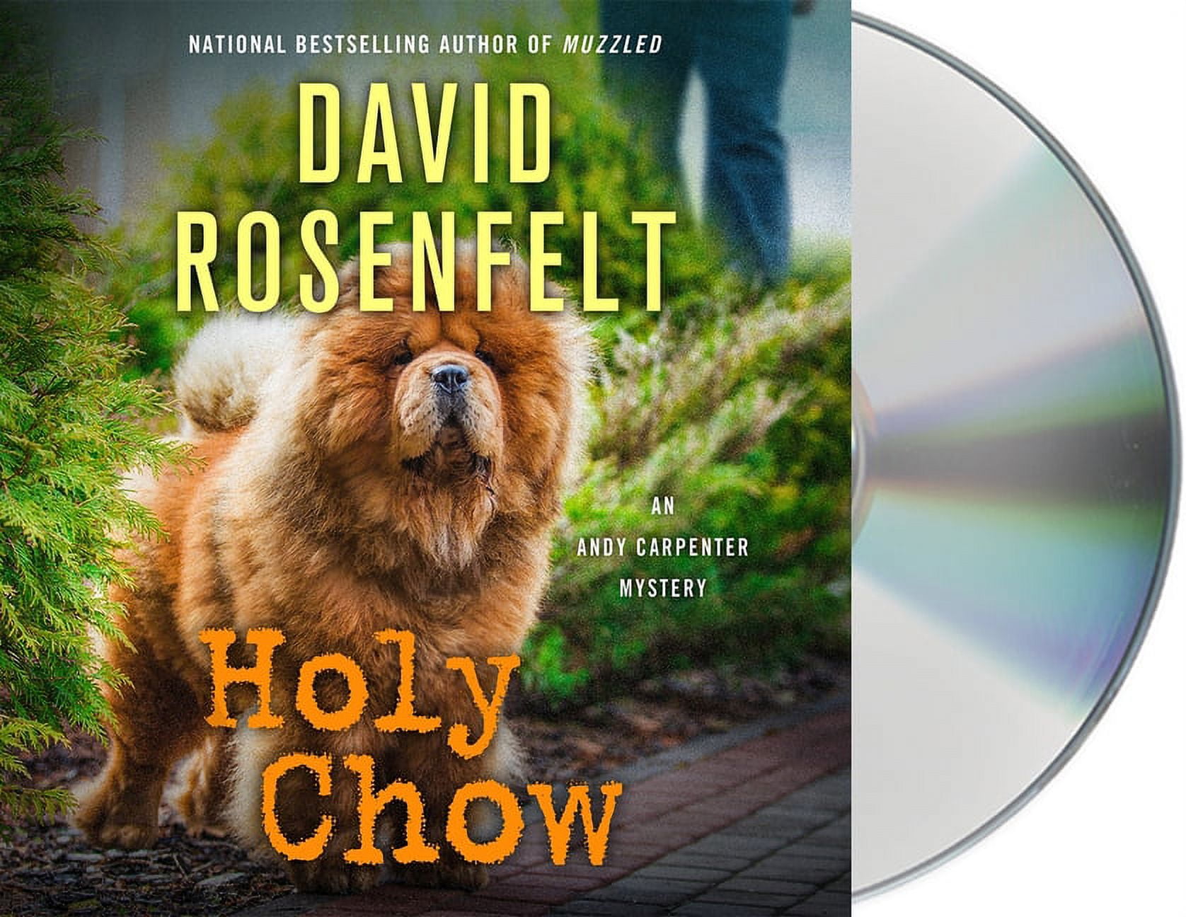 An Andy Carpenter Novel: Holy Chow : An Andy Carpenter Mystery (Series ...