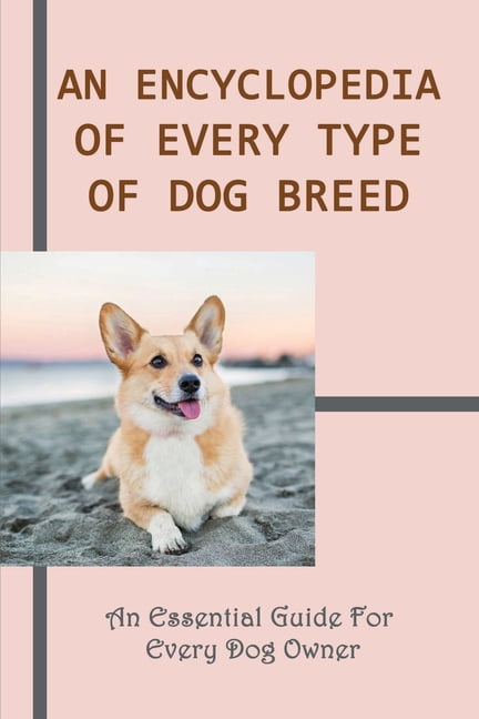 Common Dog Types