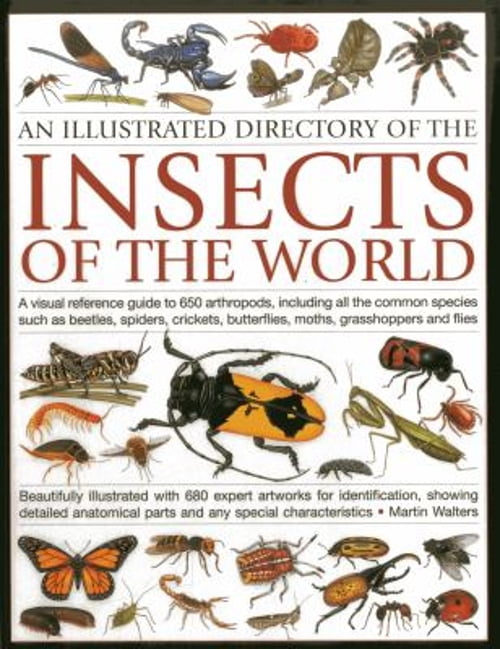 Pre-Owned Illustrated Directory of the Insects of the World : A Visual Reference Guide to 650 ...