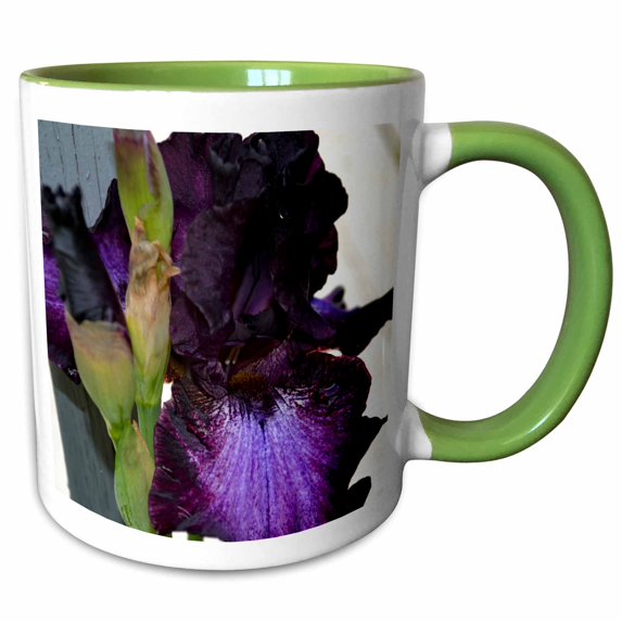 3drose, an Iris with Deep and Light Shades of Purple, 15oz Two-tone ...