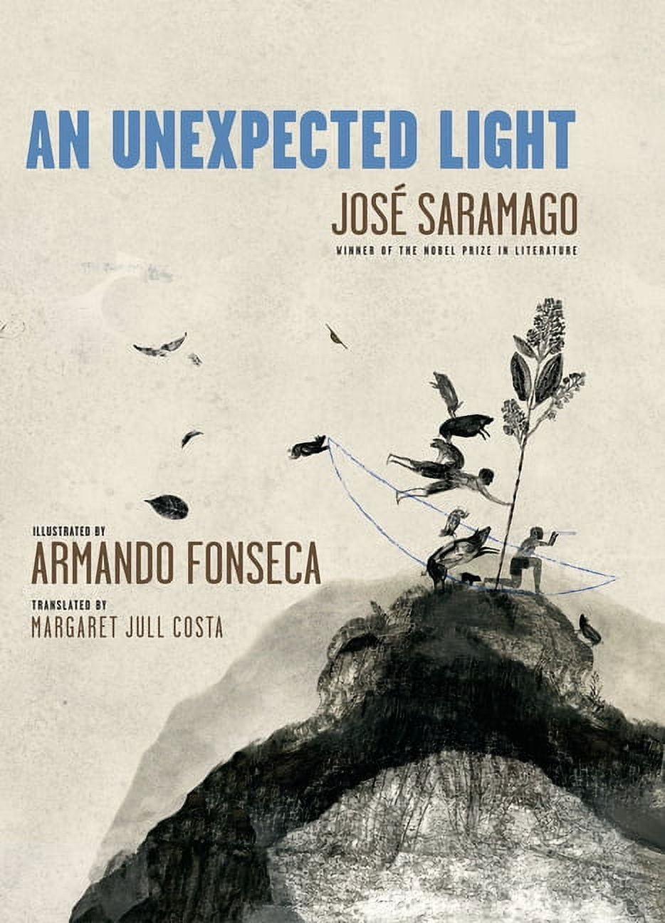 An Unexpected Light, (Hardcover) - Walmart.com