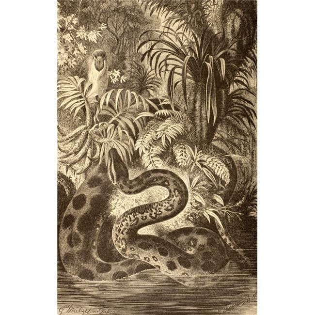 Anaconda 1 Poster