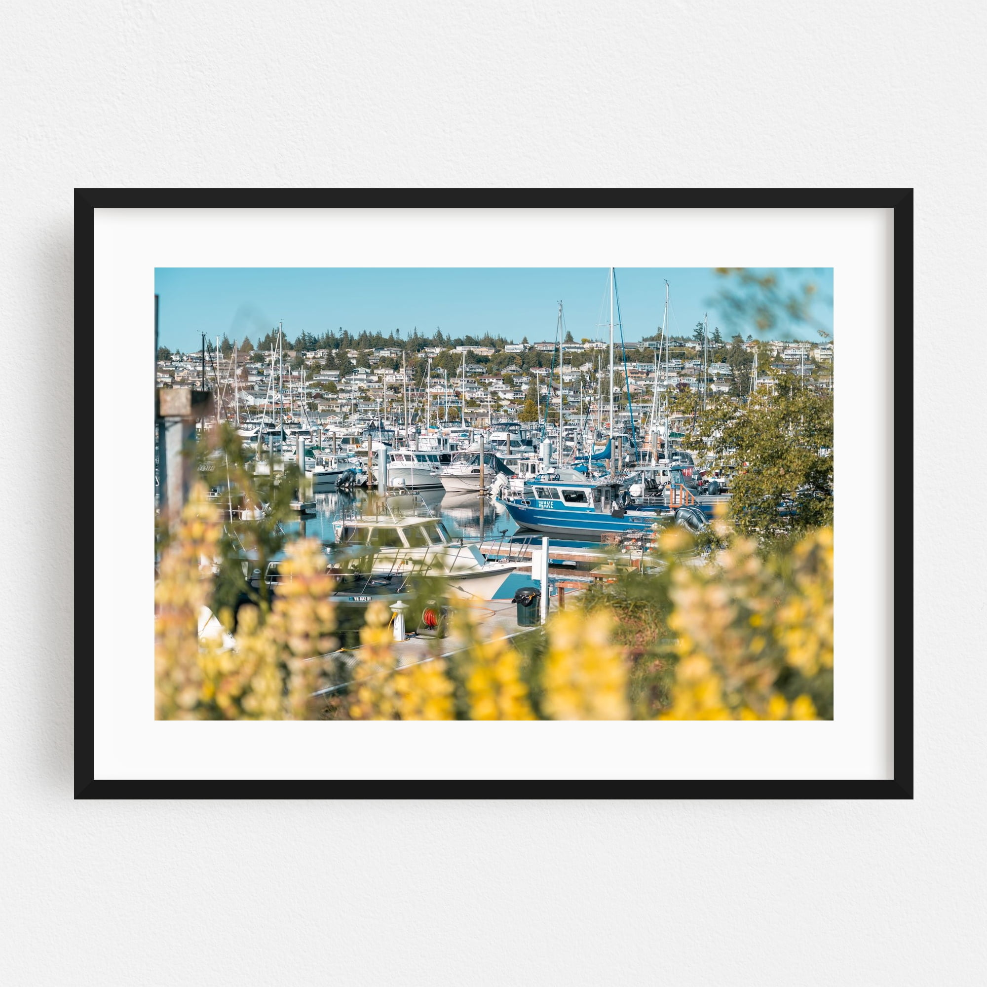 Anacortes Harbor - Anacortes Washington Photography Harbor Boat ...