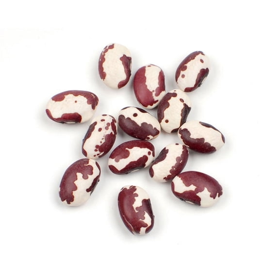Anasazi Heirloom Beans, 25 Pound Box - Perfect for Cooking, Dry Food ...