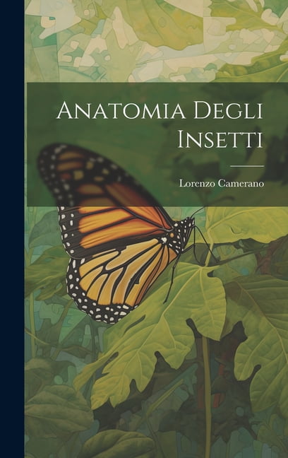 Anatomia Degli Insetti (Hardcover) - Walmart.com