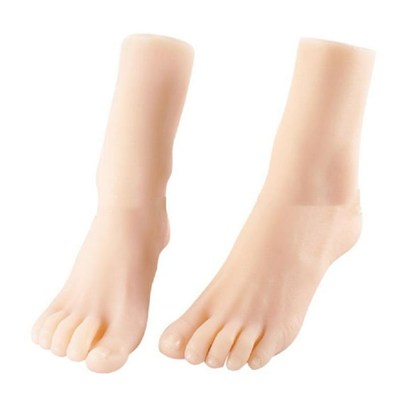 Anatomical Foot Replicas Size 36 Shoe Display Foot Model Perfect for ...