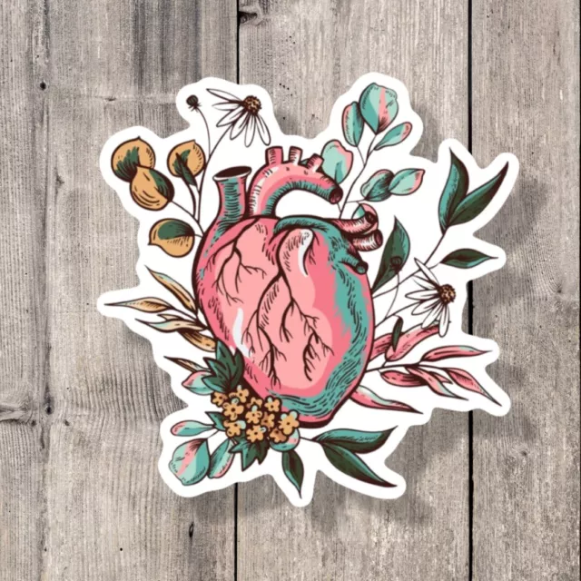 Anatomical Heart Anatomy Medical Nurse Healthcare Water Bottle Vinyl ...