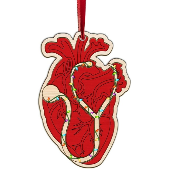 Anatomical Heart Christmas Ornament 2025, Cardiologist for Heart ...