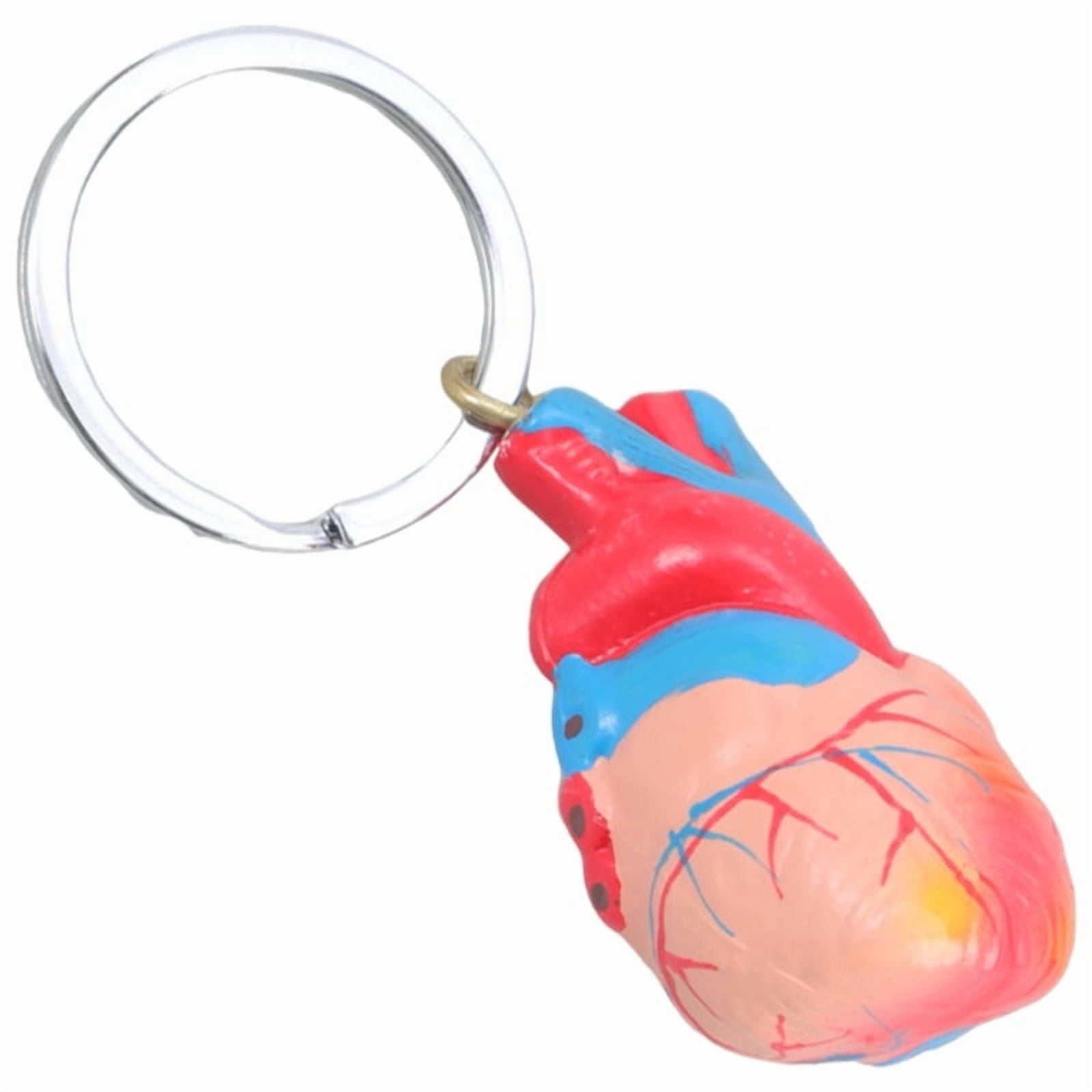 Anatomical Heart Keychain High Detail 3D Printed ABS Model for Students ...