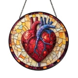 Anatomical Heart Stained Glass Sun Catcher, Handmade Window Hanging ...