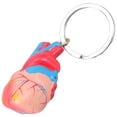 Anatomical Keyring 3D Printed Heart Model Keychain Pendant Student ...