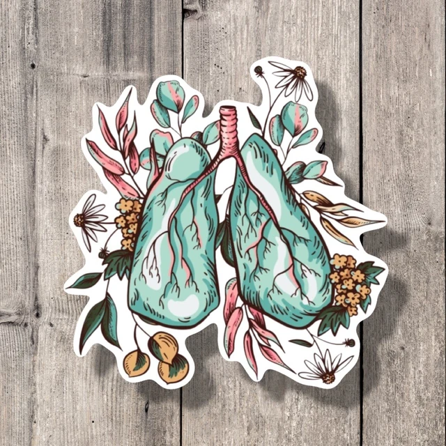 Anatomical Lungs Anatomy Medical Nurse Healthcare Water Bottle Vinyl ...