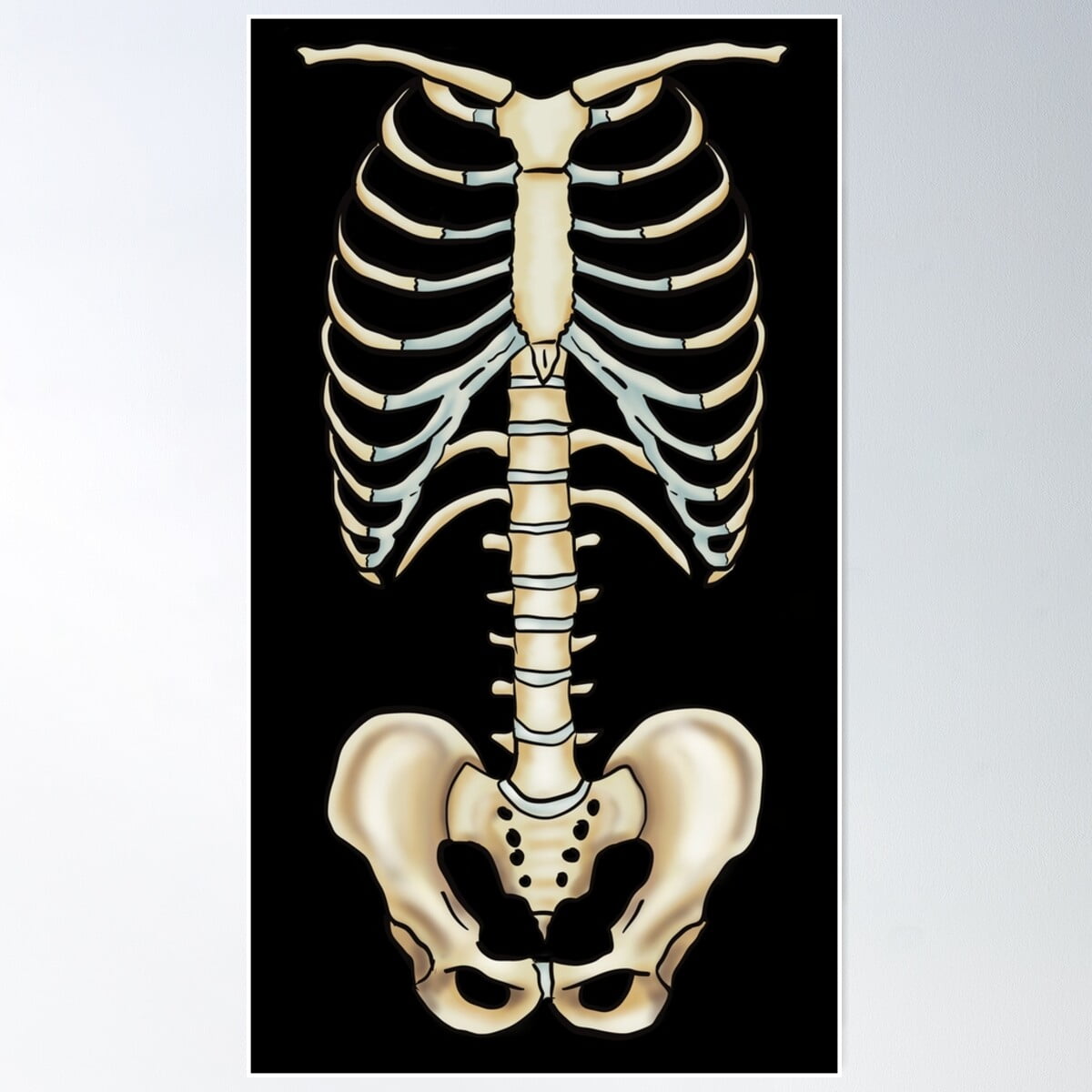 Anatomical Skeleton, Anatomy Teacher Gift, Nurse Gift, Med School ...