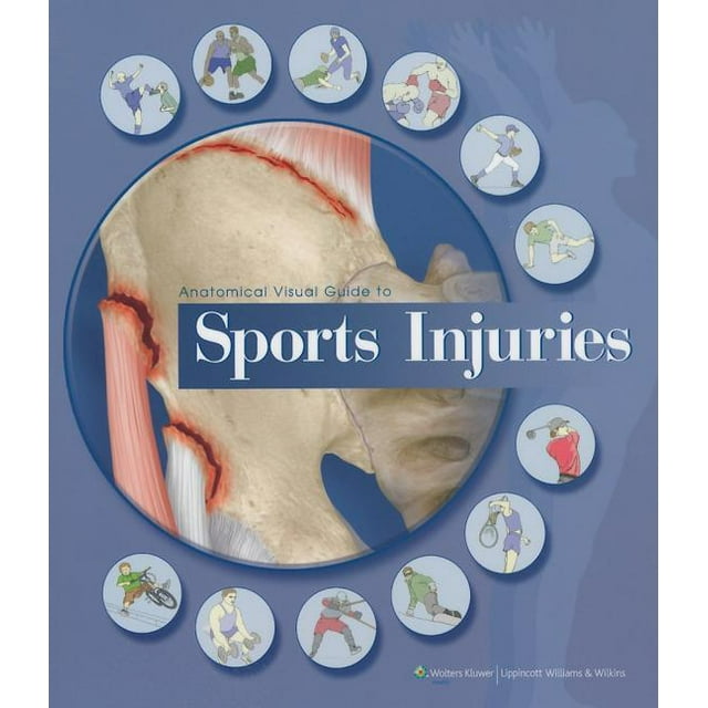 Anatomical Visual Guide to Sports Injuries (Other) - Walmart.com