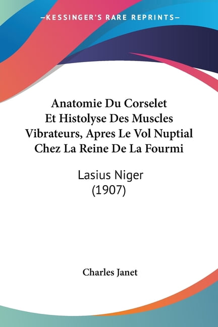 Anatomie Du Corselet Et Histolyse Des Muscles Vibrateurs, Apres Le Vol ...
