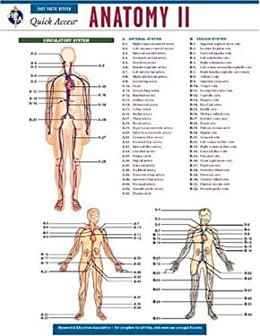 Pre-Owned Anatomy 2 - REA's Quick Access Reference Chart (Quick Access Reference Charts ...