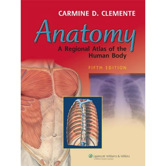 Pre-Owned Anatomy Of The Arteries Of The Human Body : Descriptive and ...