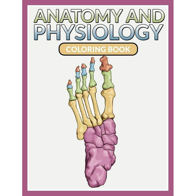 coloring book anatomy and physiology