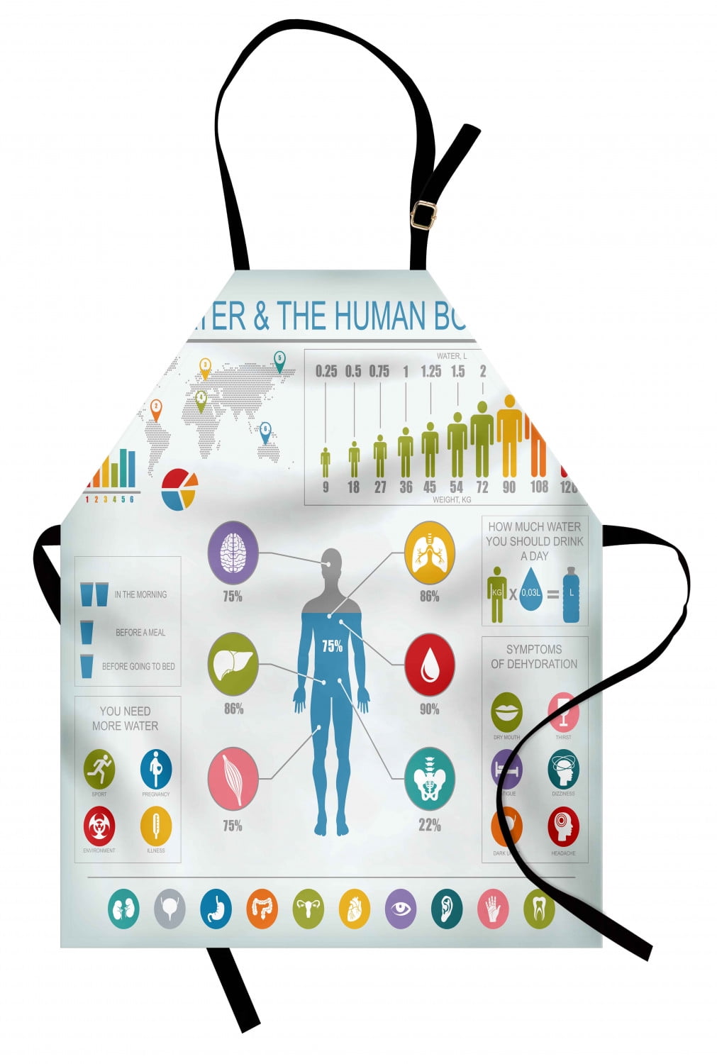 Anatomy Apron, Composition with Human Body and Organs Healthy Lifestyle ...