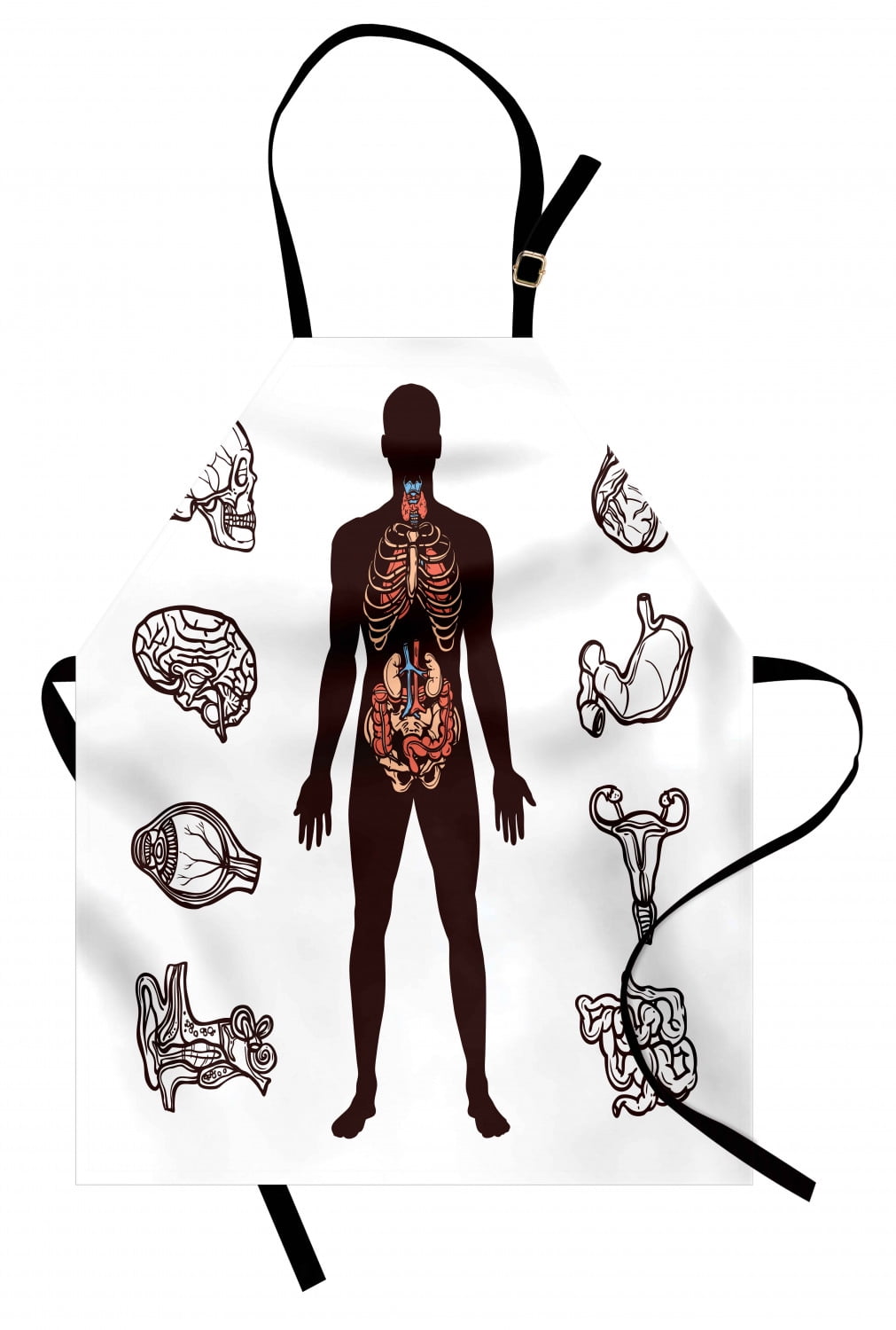 Anatomy Apron, Human Body with Internal Organs Sketch Health Biology ...
