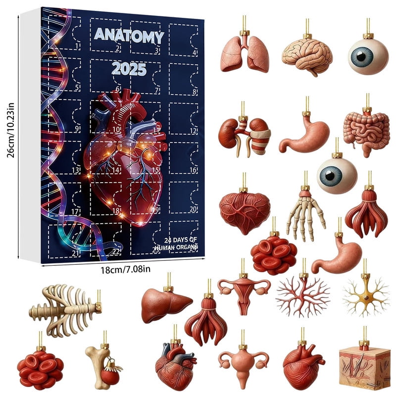 Anatomy Body Doctor Fans Advent Calendar Blind Box 2025 2026 Christmas ...