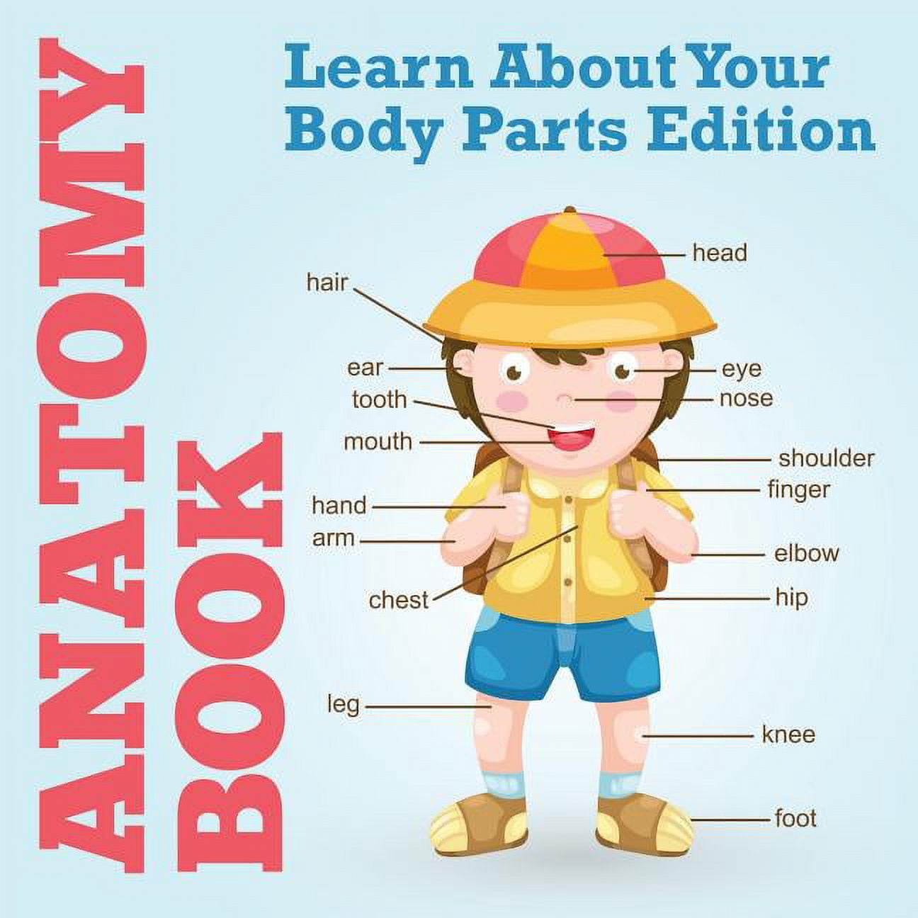 Anatomy Book: Learn About Your Body Parts Edition, (Paperback ...