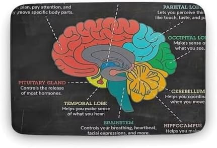 Anatomy Your Brain Knowledge Outdoor Entrance Mat Christmass Vintage ...