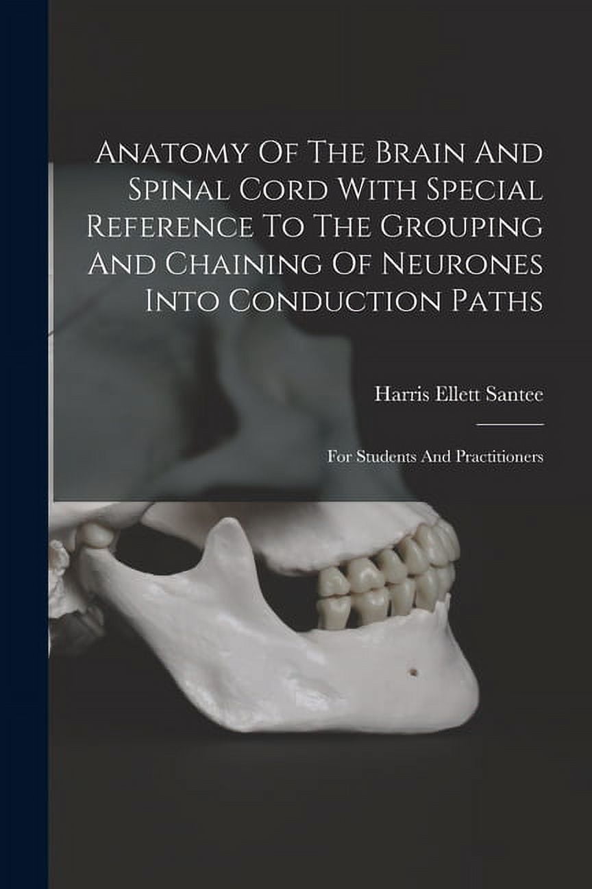 Anatomy Of The Brain And Spinal Cord With Special Reference To The ...