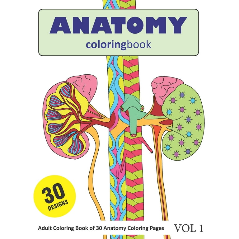 anatomy coloring book free pages