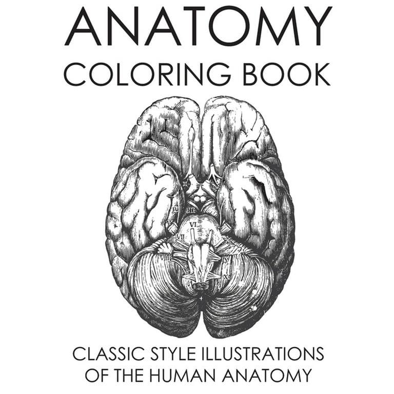 gray's anatomy coloring pages