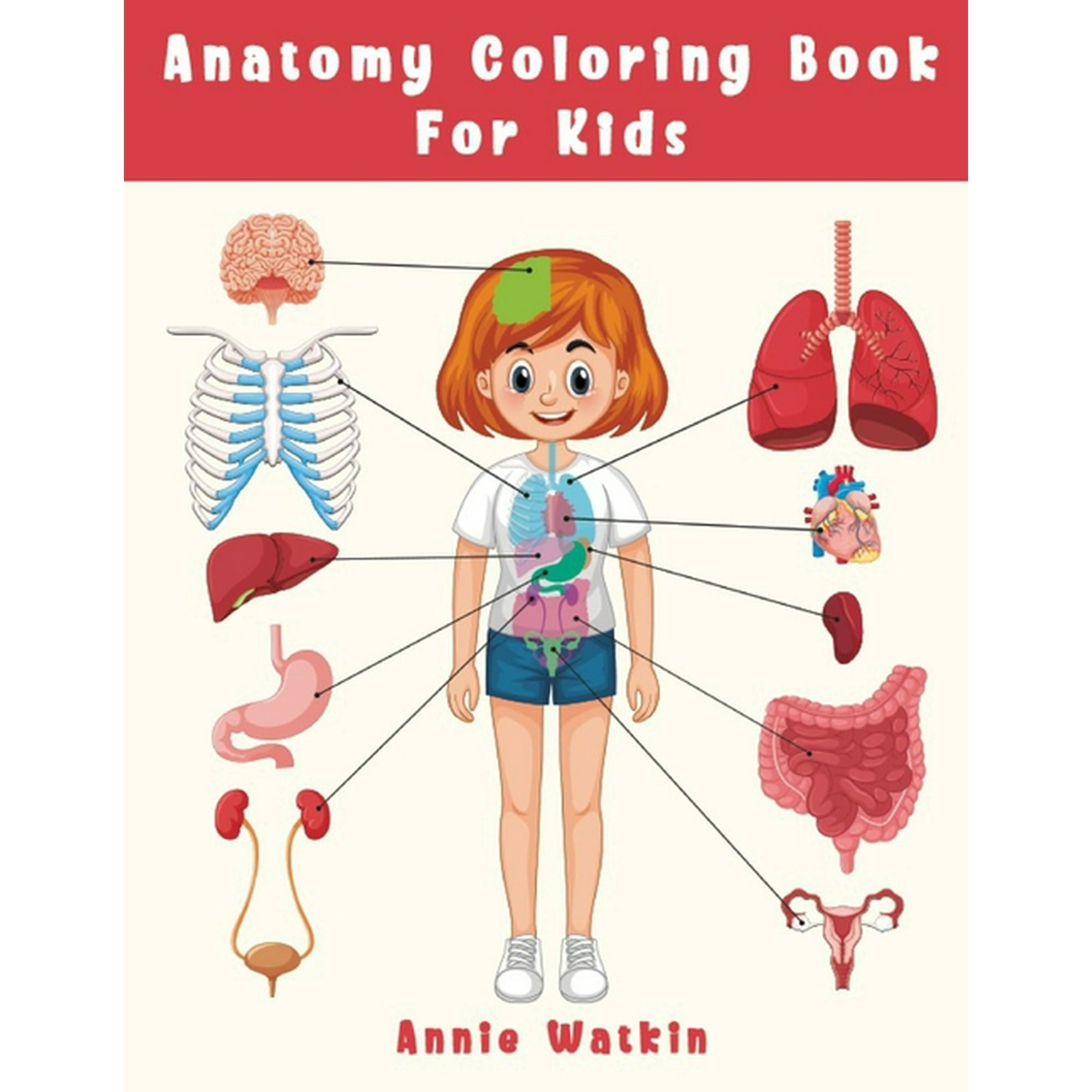 Human Body For Kids Coloring Pages