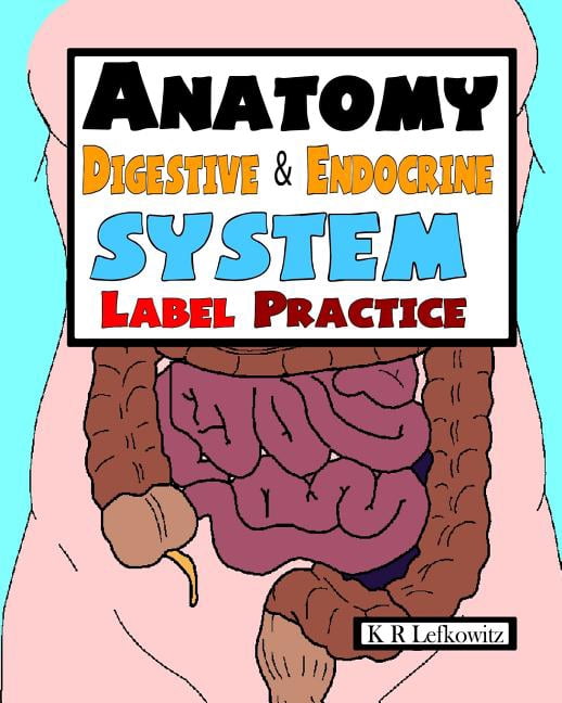 Anatomy Digestive & Endocrine System Label Practice - Walmart.com