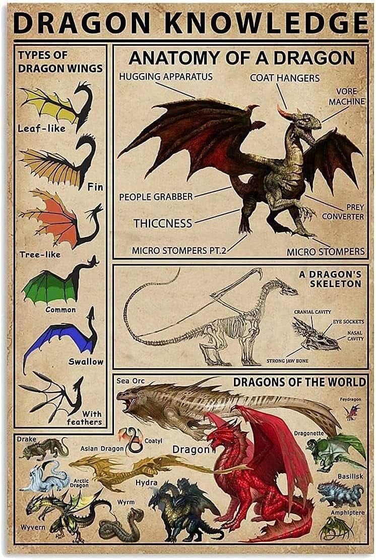 Anatomy of A Dragon Metal Signs Dragon Knowledge Unplaning Infographic ...