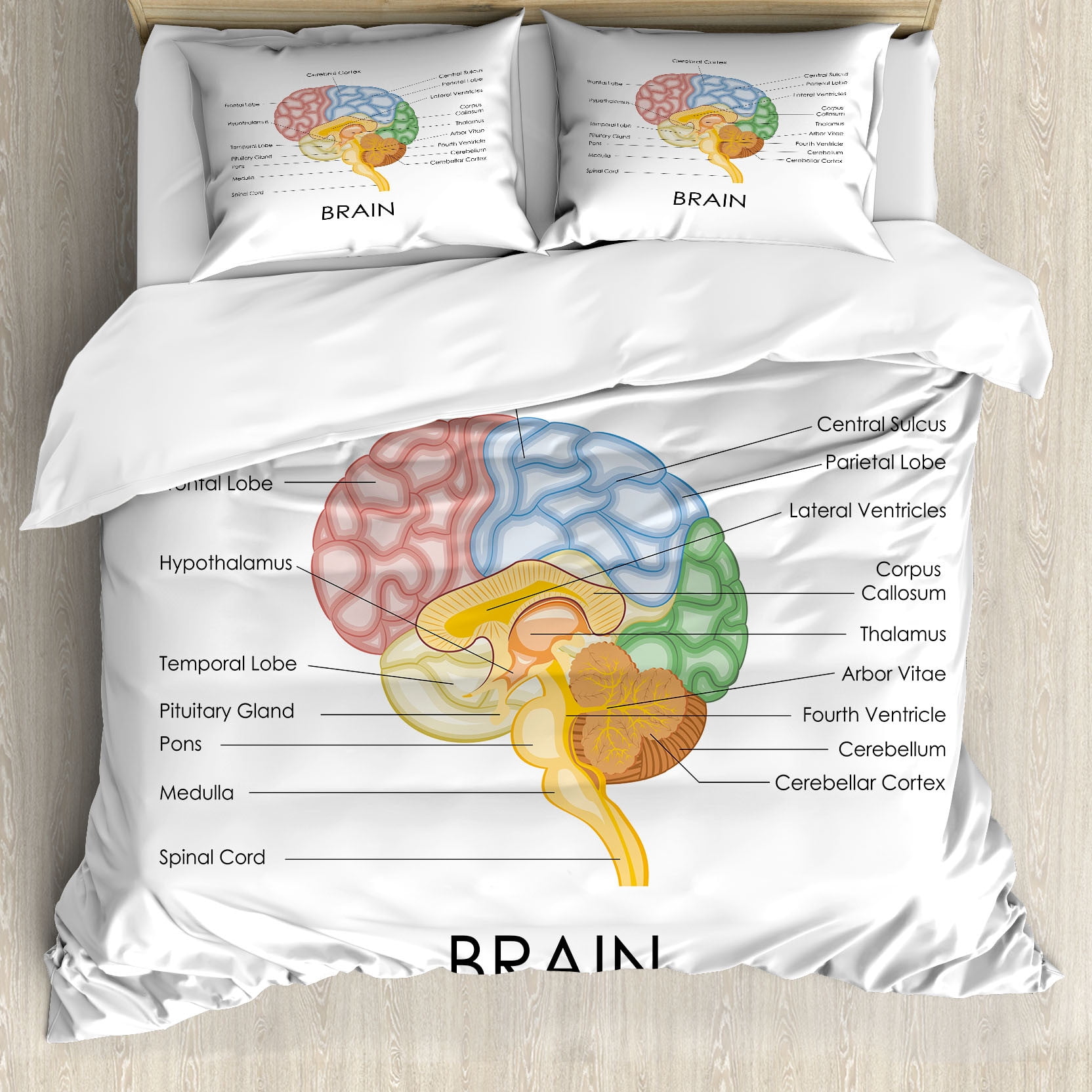 Anatomy Duvet Cover Set, Science Human Brain Parts Biology Cerebral ...