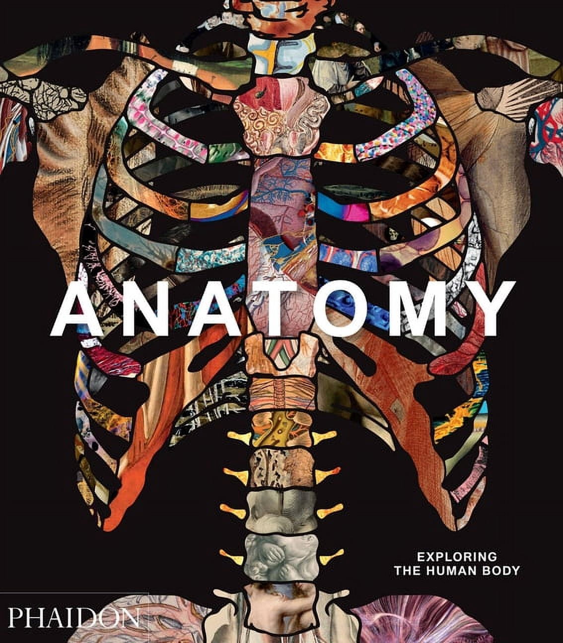 Anatomy: Exploring the Human Body, (Hardcover) - Walmart.com