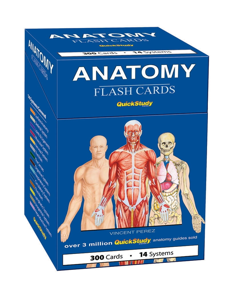 Anatomy Flash Cards : a QuickStudy reference tool (Cards) - Walmart.com