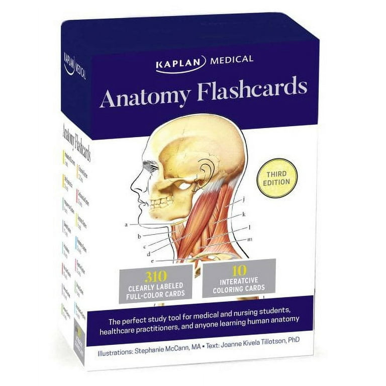 Anatomy Bundle Flashcards Pdf Anatomy Flashcards