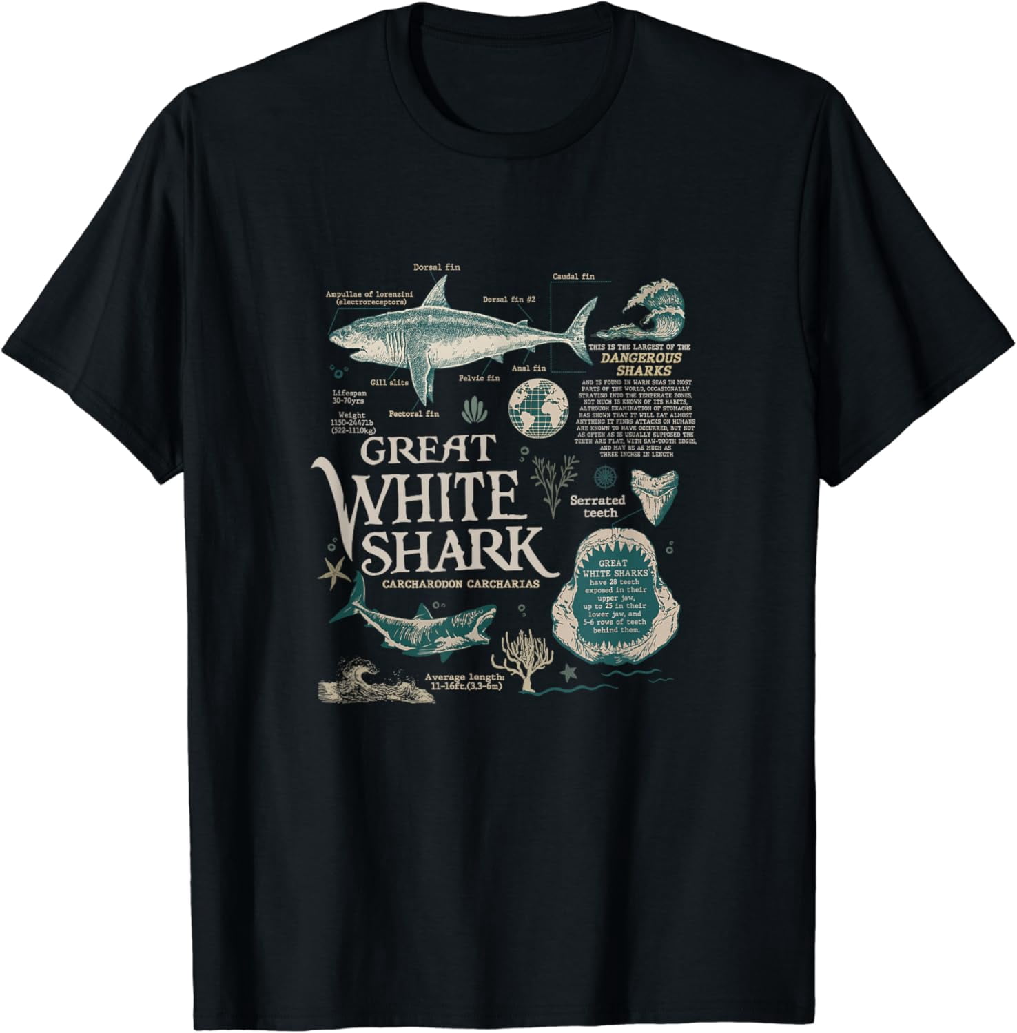 Anatomy Great White Shark Ocean Lover Biologist T Shirt - Walmart.com